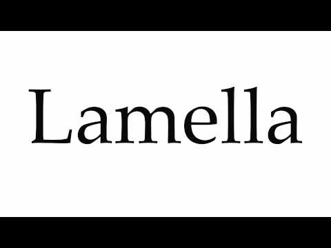 How to Pronounce Lamella