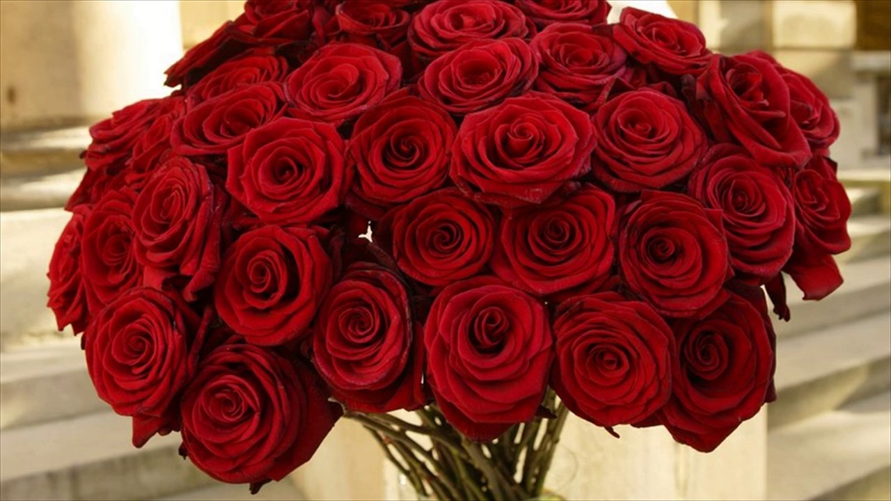 Valentine Day Rose Wallpaper Hd