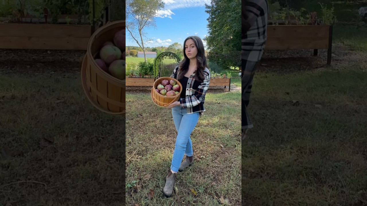 What I’ve learned about growing apple trees successfully🍎 #fruittrees #gardeningvideos #growyourown