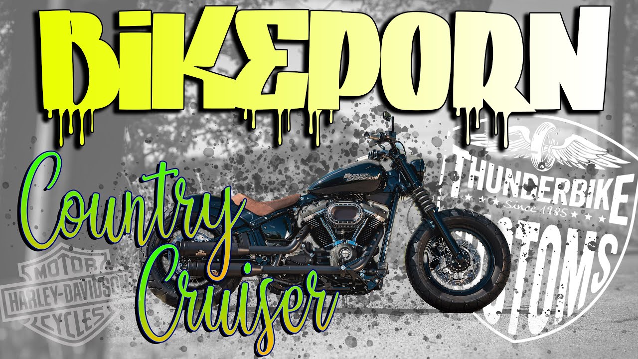 Harley-Davidson Country Cruiser Comes with Two Rear Wheels - autoevolution