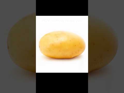 Potato