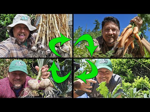 Penjelasan Rotasi Tanaman - Garden Quickie Episode 224