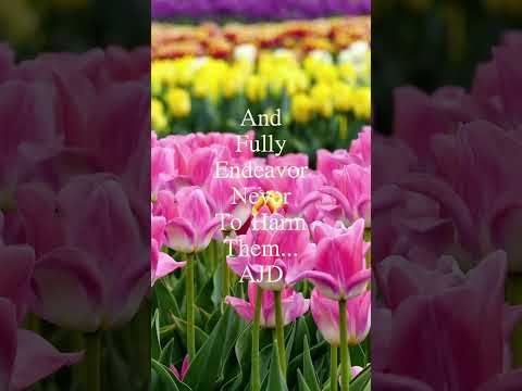 Flowers In A Garden - A Journalist's Dream™