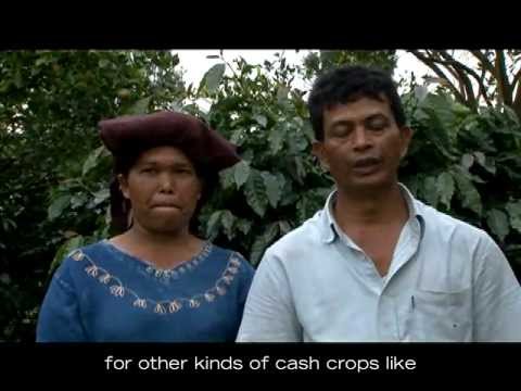 Dhatra Sitepu & Delna Br. Tarigan, Indonesia -- Farmer Profile