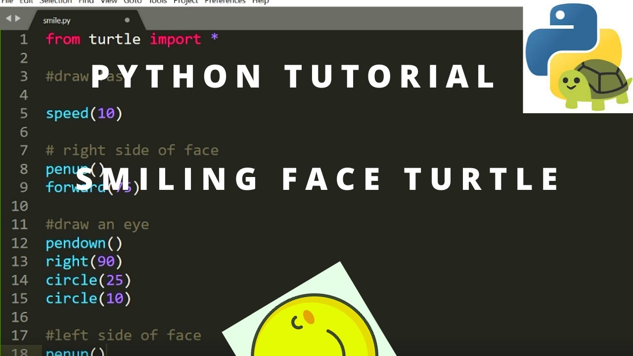 Python Turtle Graphics Tutorial  - Smile face