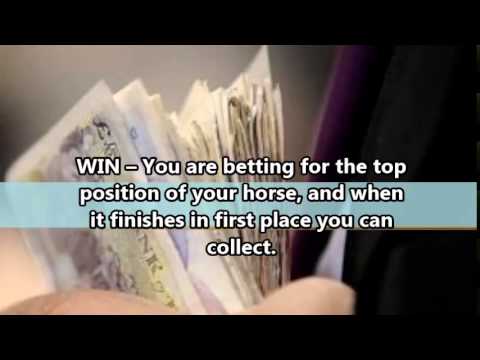 Different Types of Horse Racing Bets to Consider