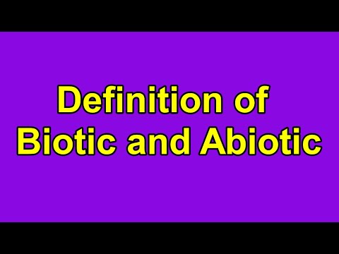 what is the definition of biotic and abiotic