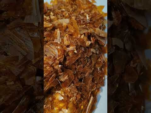 Shellac - Lac Bug Latest Price, Manufacturers & Suppliers