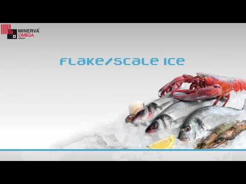 Granular and Flake/scale ice makers