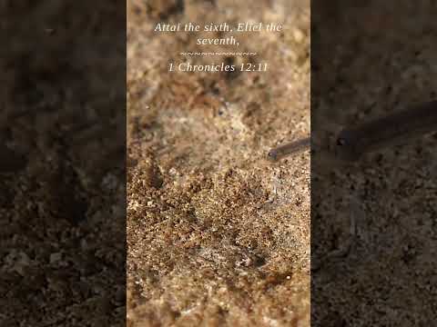Bible | 1 Chronicles 12:11 | Attai the sixth Eliel the seve...