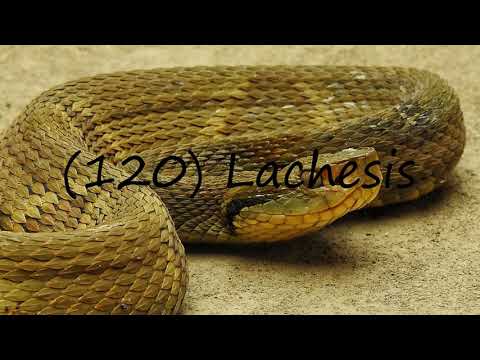 How to pronounce (120) Lachesis?