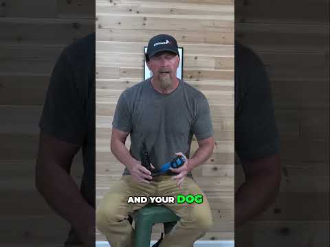 E-Collar Tips from a Professional Dog Trainer. Tune in to our latest video about e-collar training!