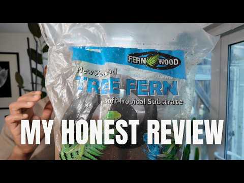 Tree Fern Fibre - An Honest Review