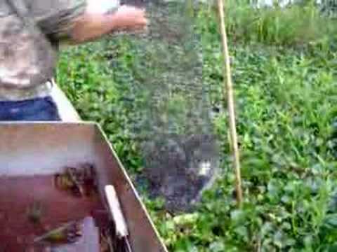 How To Make Crawfish Traps | wrenchscent15