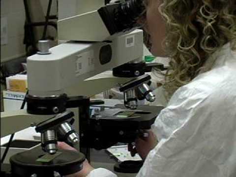 GBI DOFS Trace Evidence Overview