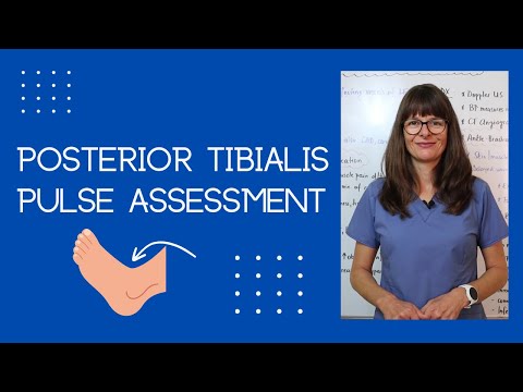 Posterior Tibialis Pulse Assessment Demonstration #shorts