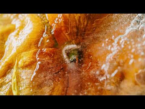 Fake Laugh & Tarquin - Meaningless Things (Official Audio)