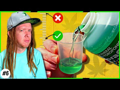 🩸The Secret To Feeding Cannabis Nutrients