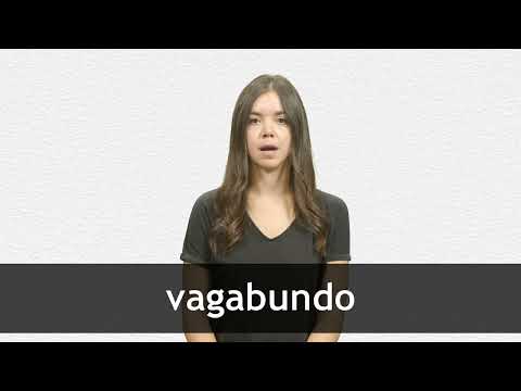 Traducción en inglés de “VAGABUNDO” | Collins Diccionario español-inglés