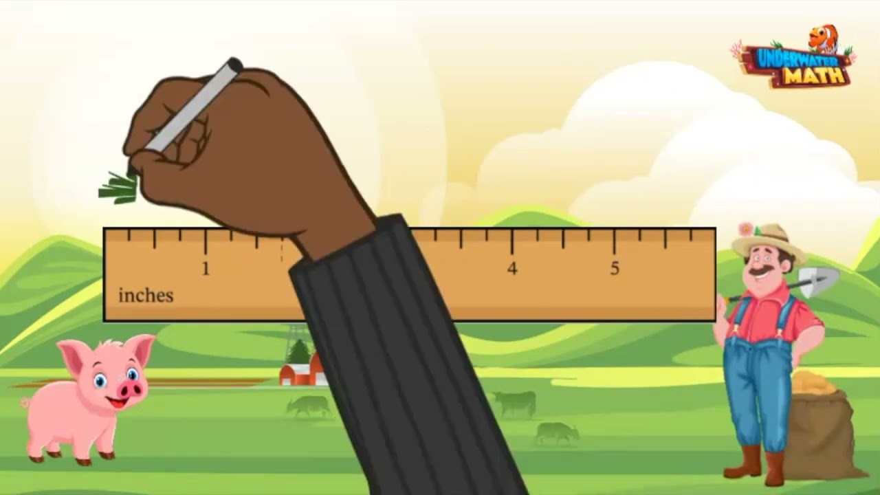 Skill Builder: Measurement | 3rd Grade Math