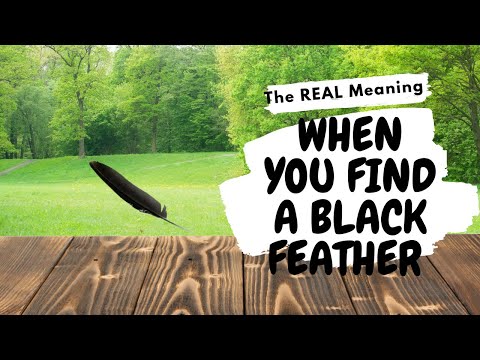 FINDING A BLACK FEATHER REAL MEANING