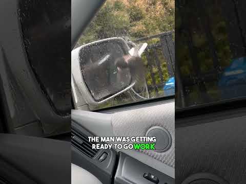 This Man Found A Crazy Bird In His Car Mirror!