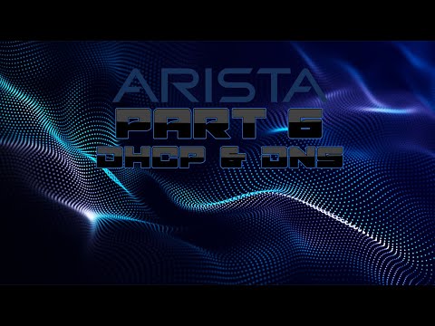 Alternative to PFSense - Arista NGFW - DHCP and DNS Explained! - Basic walkthrough - 59