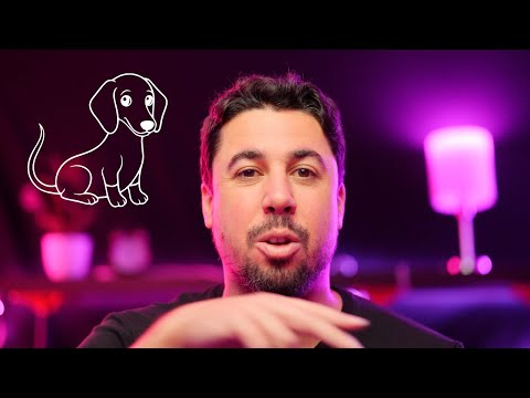 What Is a Dog? - Spanish for Beginners