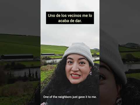 Learning Spanish: What Are You Grateful For? | Expresando Gratitud en Español #spanish #español