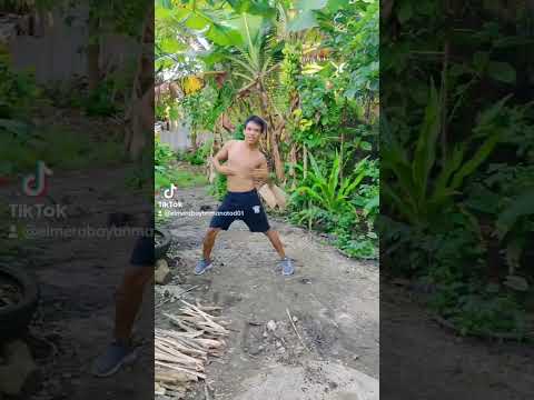 tiktok dance compilation #Elmer