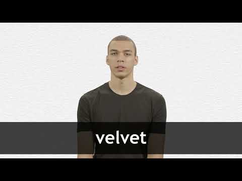 VELVET definition and meaning | Collins English Dictionary
