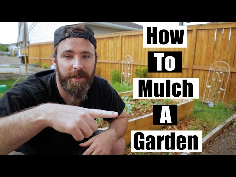 How To Mulch A Raised Garden Bed