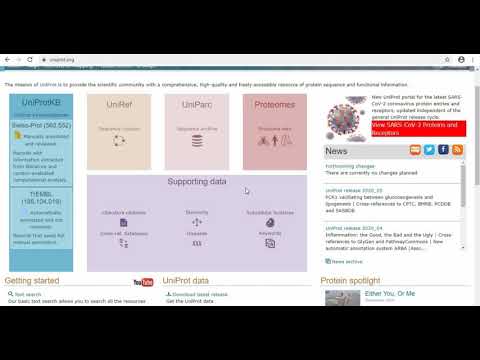 Entry to UniProt | Protein databases | All you need to know about UniProt | UniProt-1