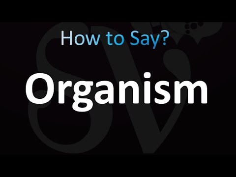 How to Pronounce Organism (correctly!)