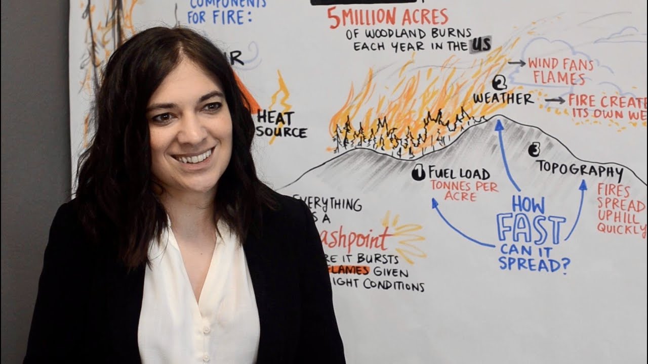 Introduction to Fuselight | Graphic Recording & Animation