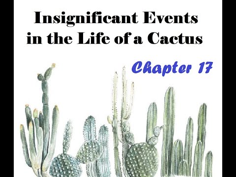 Insignificant Events in the Life of a Cactus, Ch. 17