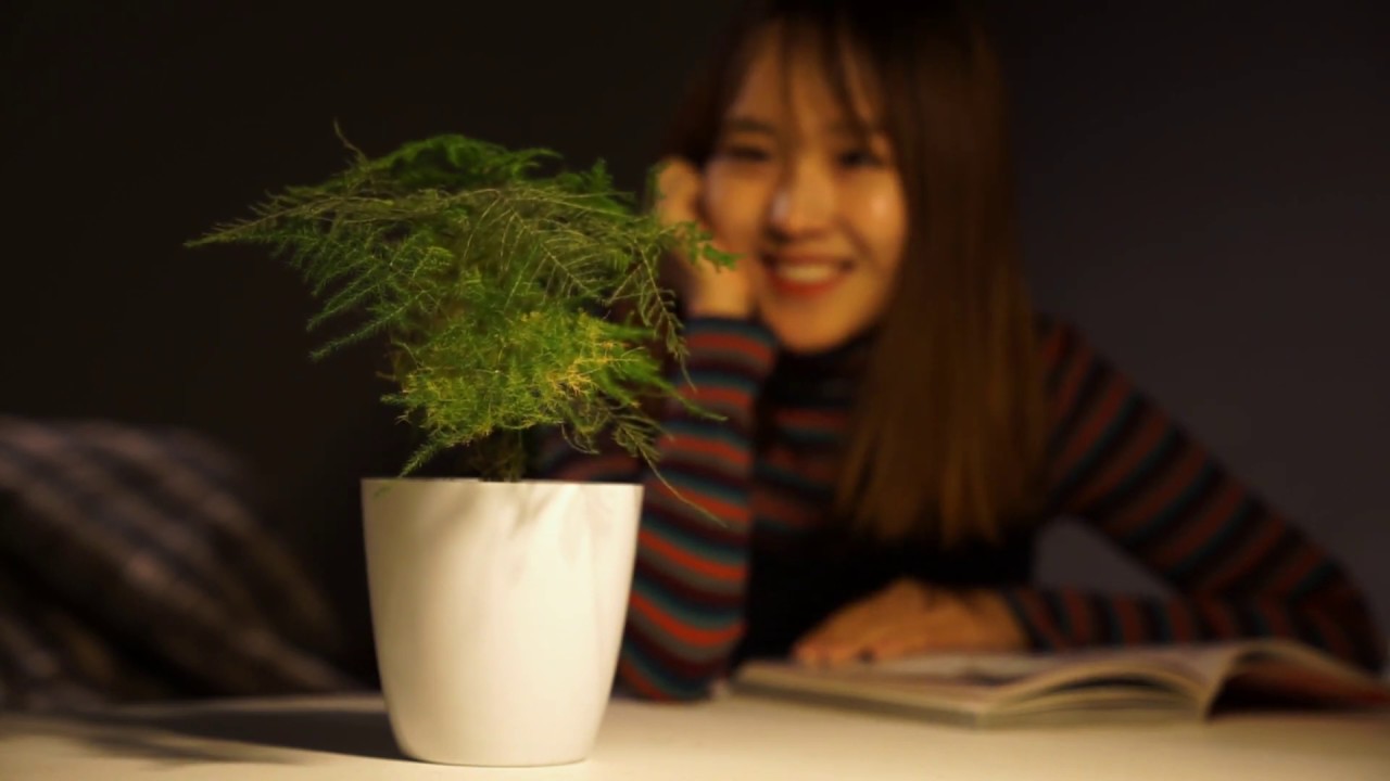Cyborg Botany: Augmented plants as sensors, displays, and actuators