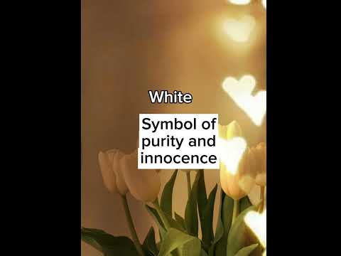 Tulips Different Color Meaning #ytshorts #flower #tulips