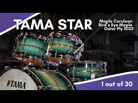 Tama STAR Maple Factory Vault LTD - Bird's Eye Maple Outer | Reverb