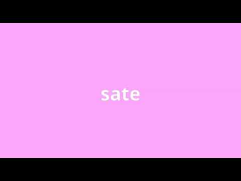 what is the meaning of sate.