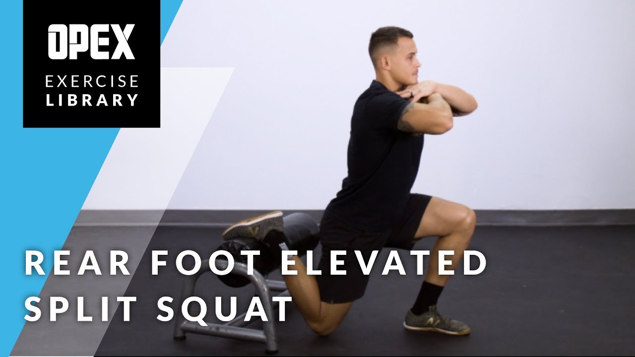 Rear Foot Elevated Split Squat - OPEX Exercise Library