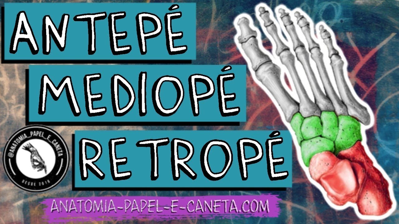 Guia completo da Anatomia do pé humano - Daniel Baumfeld