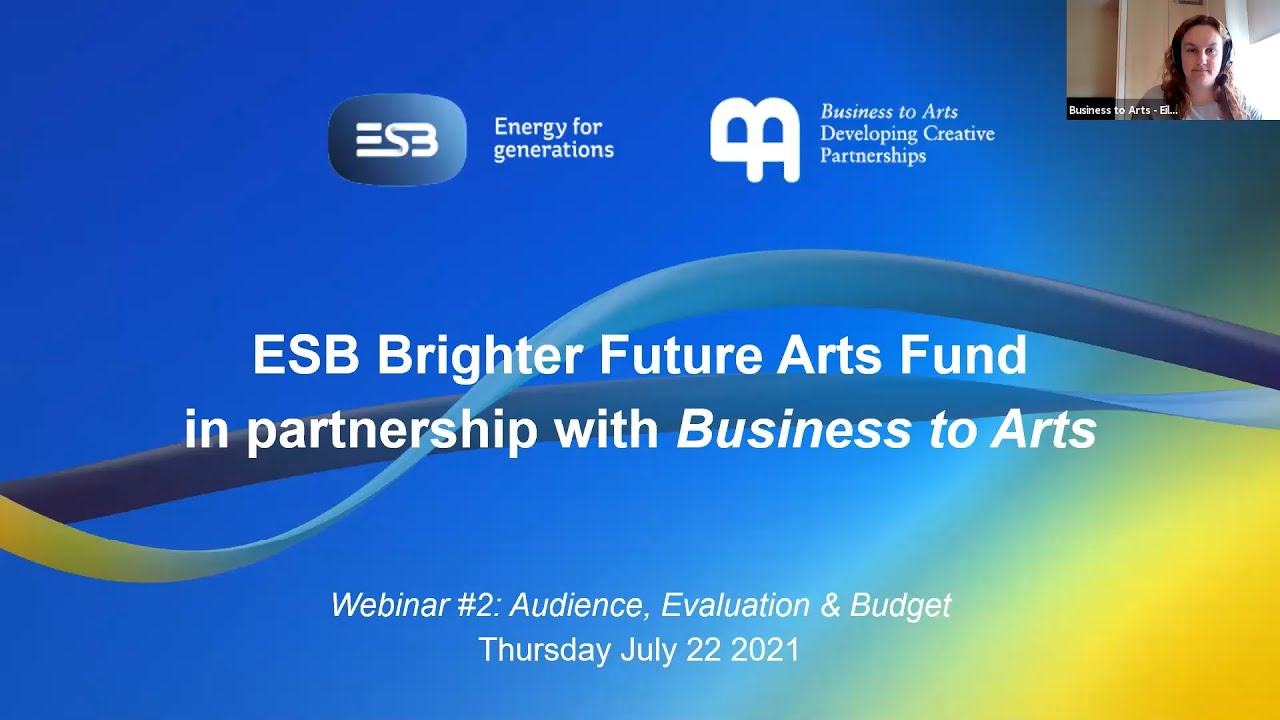 ESB Brighter Future Arts Fund - Audience, Evaluation & Budget