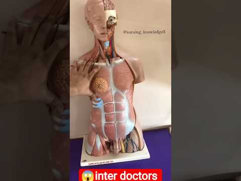 inter doctors life 😱|AIIMS Delhi hostel 😭🧬|#viral #trendingshorts #ytshorts #neet #shorts
