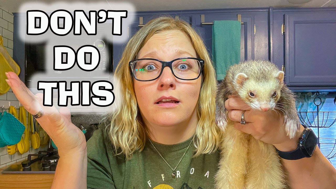5 MISTAKES New Ferret Owners Make
