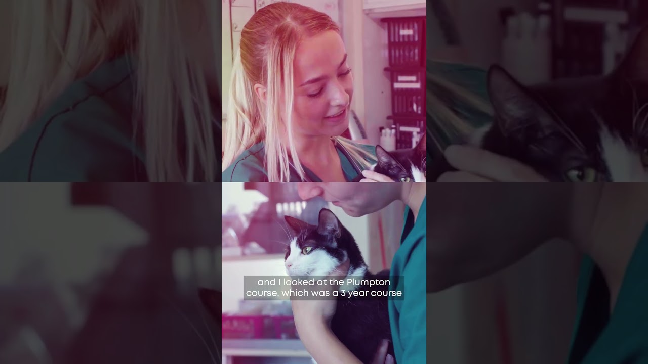 How to become a Veterinary Nurse Technician after leaving school