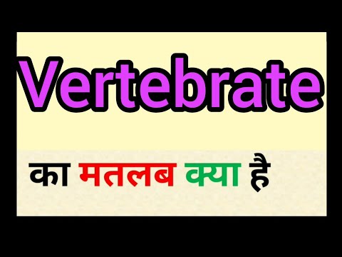Vertebrate meaning in hindi || vertebrate ka matlab kya hota hai || word meaning english to hind