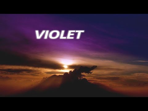 VIOLET! WHAT DO YOU MEAN?