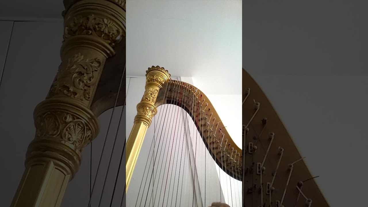 Hire Robert Turner: Harpist for Weddings, Holidays, Ceremonies ...