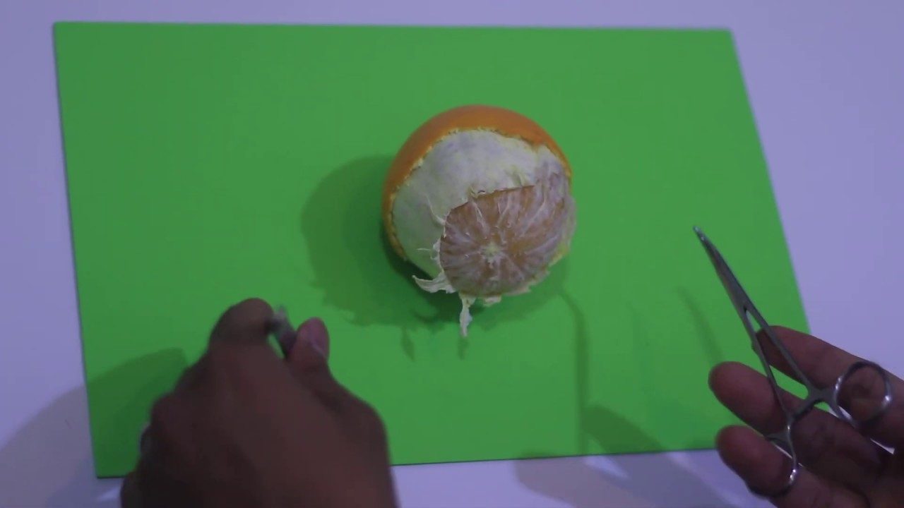 Dissection Techniques in surgery 2
